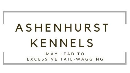 Ashenhurst Kennels – Luxury boarding kennels based near Leek, Staffordshire
