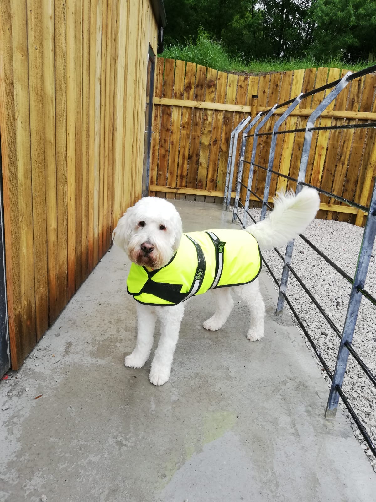 Ashenhurst Kennels – Luxury boarding kennels based near Leek, Staffordshire